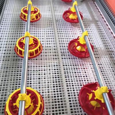China 30,000 Bird Capacity Prefab Poultry Closed House System - 150x16m Floor & 78x11m Cage Options for sale