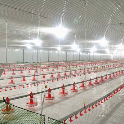 China 45mm Diameter Broiler Feeding System for Poultry Farm 380V 0.75kW Motor for sale