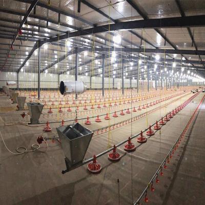 China Automatic Poultry Shed Broiler Equipment with 450Kg/h Feeding Capacity and 50-55 Birds/Pan Configuration for sale