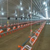China Automatic Poultry Shed Broiler Equipment with 450Kg/h Feeding Capacity and 50-55 Birds/Pan Configuration for sale
