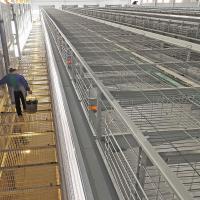 China 380V Automatic Broiler Feeder 500KGS Hot Dip Galvanized Chicken Cage Equipment for sale