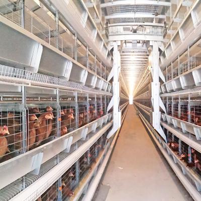 China HDG Automatic Broiler Feeding System with 0.75kw Motor and 3-8 Tier Cage Options for Poultry Farming for sale