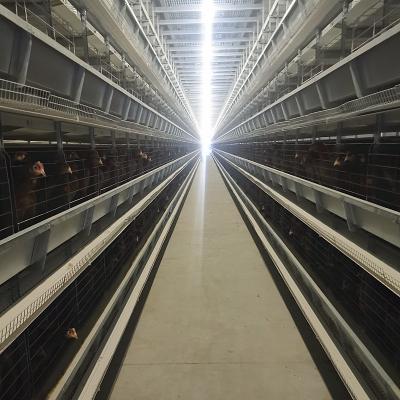 China Automatic Poultry Feeding System H-Type Chicken Cage 1800x600x430mm with 450cm² Bird Space for sale