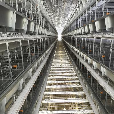 China 380V Automatic Broiler Feeder 500KGS Hot Dip Galvanized Chicken Cage Equipment for sale
