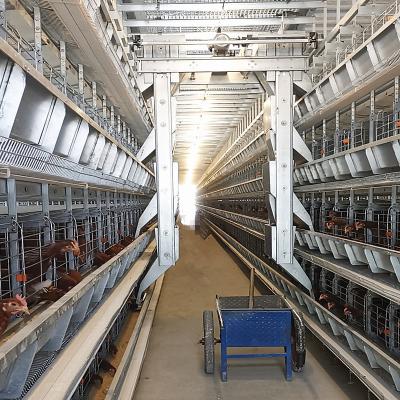 China H Type Layer Battery Chicken Cage System with Automatic Feeder - 3-10 Tiers, 144-384 Bird Capacity for sale