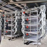 China 8.67m/Min Automatic Chicken Feeding System with 1.2mm HDG Steel Construction for Poultry Farms for sale