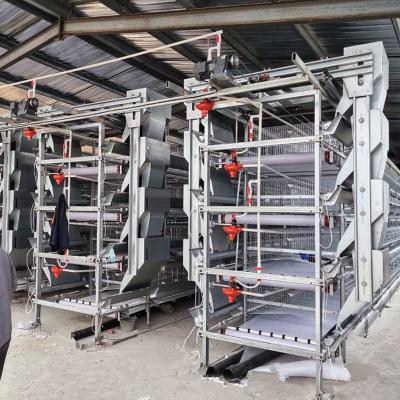 China 8.67m/Min Automatic Chicken Feeding System with 1.2mm HDG Steel Construction for Poultry Farms for sale