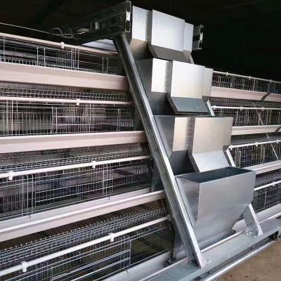 China 4 Layers 160 Birds Q235 Battery Chicken Cage System with PVC/Galvanized Feeders 195x230x200cm for sale