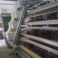 China 3-8 Tier Automatic Poultry Feeding System & Layer Chicken Cage for Laying Hens Farm - SONCAP Certified for sale