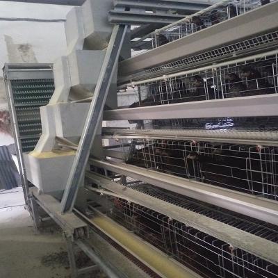 China 3-8 Tier Automatic Poultry Feeding System & Layer Chicken Cage for Laying Hens Farm - SONCAP Certified for sale