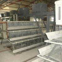 China 1.2mm Automatic Poultry Feeding System Q235 Hot Dipped Galvanized Sheet for sale