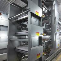 China Manual 4 Tiers Pvc Automatic Poultry Feeding System SGS Layer Chicken Cage for sale