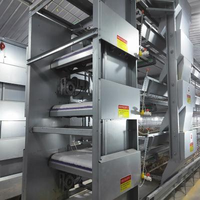 China SONCAP Automatic Broiler Feeding System with Hopper Trolley 380V/220V Voltage for 15-20 Year Service Life for sale