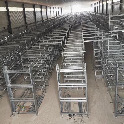 China Q235 Galvanized H Type Layer Cage 384 Birds Set 3-10 Tiers Poultry Equipment for sale