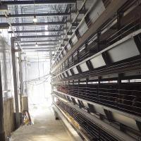 China 1.2mm Automatic Poultry Feeding System with 0.75kW Motor for Layer and Broiler Cages for sale