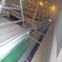 China U Type Cage 4 Floors Poultry Manure Removal System with 3-6mm Wire Diameter and Automated Waste Management for sale