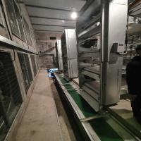 China 6mm Automatic Manure Removal System for Poultry Farming - 3-8 Tier Battery Cages with 90-384 Bird Capacity for sale
