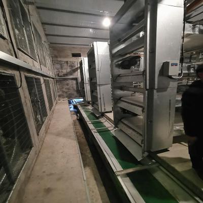 China 6mm Automatic Manure Removal System for Poultry Farming - 3-8 Tier Battery Cages with 90-384 Bird Capacity for sale
