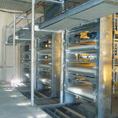 China Zinc Alum H Type Layer Chicken Cage with 2.2kW/3kW Poultry Litter Removal Machine for 90-384 Bird Capacity for sale