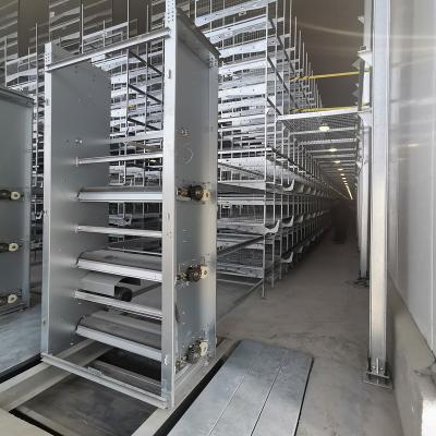 China 1.25m Automated Poultry Manure Removal System for 3-8 Tier Chicken Cages with PP Belt Conveyor for sale