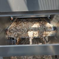 China 1.25m Automated Poultry Manure Removal System for 3-8 Tier Chicken Cages with PP Belt Conveyor for sale