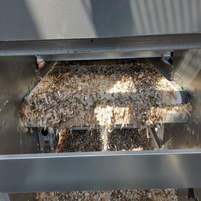 China Automatic Poultry Farm Manure Cleaning Machine 380V 3Phase Belt Scrapper System for sale