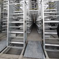 China H Type Poultry Manure Removal System 2.1m Width 30cm Depth for Chicken Coop Cage Cleaning Equipment for sale