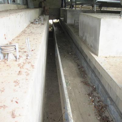 China Automated Livestock Poultry Manure Removal System Hot Dipped Galvanized for sale