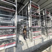 China Multi Tier Poultry Manure Cleaning Equipment 1.2mm PP Belt 220V System with 3m/min Speed for sale