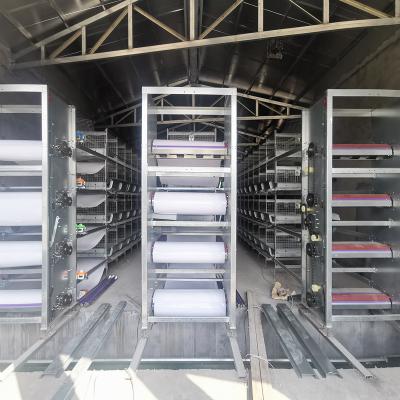 China 2-3 Rows Poultry Manure Removal System with 5000N Load Capacity and 40dB Noise Level for Livestock Farming for sale