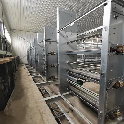 China Hot Dipped Galvanized 6mm Poultry Manure Removal System with 1.5kW Siemens Motor and 8mm Rubber Conveyor for sale