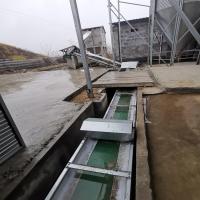 China Hot Dipped Galvanized 6mm Poultry Manure Removal System with 1.5kW Siemens Motor and 8mm Rubber Conveyor for sale