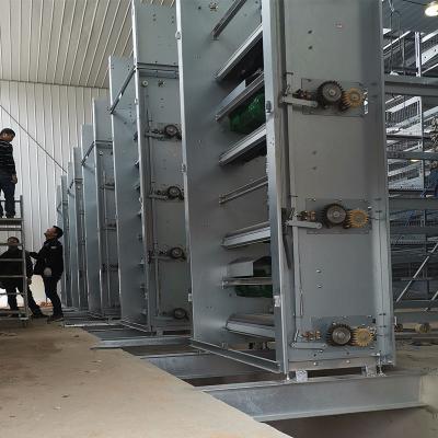 China HDG Poultry Litter Removal Equipment with 1.2mm PP Belt and 3m/min Speed for Multi-Level Chicken Cages for sale