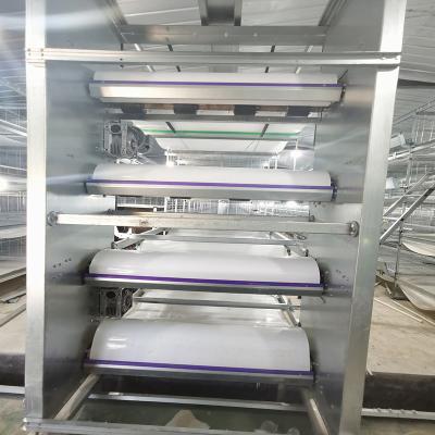 China 1.2mm PP Belt Automatic Manure Removal System 10-12m/min for Chicken House Equipment for sale