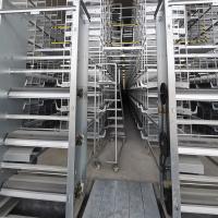 China 0.75kw H Type Automatic Poultry Feeding System For Chicken Layer Cage for sale