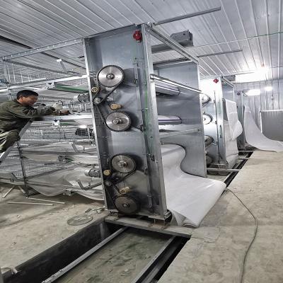 China H Type Chicken Poultry Farm Cleaning Equipment 2.1m Width 30cm Depth for sale