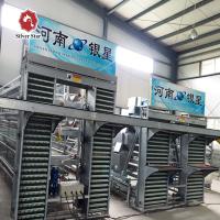 China A & H Type Automatic Chicken Cage with 3-6mm Egg Collection System - Poultry Processing Equipment for 90-384 Birds for sale