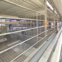 China Q235 Bridge Steel Poultry Egg Collection System with 3-8 Tier Battery Cages and ISO9001 SONCAP Certification for sale