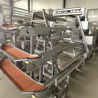 China Wanxin Motor Automatic Chicken Egg Collector with 2mm PP Belt and 4m/min Speed for Poultry Farming for sale