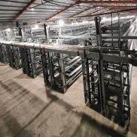 China Mechanical Poultry Egg Collection Equipment Q235 Low Carbon Hot Galvanized 4m/min Speed 100mm Belt Width for sale