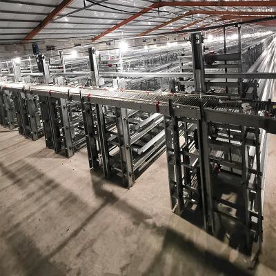 China Mechanical Poultry Egg Collection Equipment Q235 Low Carbon Hot Galvanized 4m/min Speed 100mm Belt Width for sale