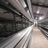 China 4 Layer 2mm Battery Cage Poultry Egg Collection System with ISO9001 Certification for H Type Laying Hens for sale