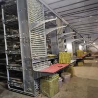 China 1mm 1.5kw H Type Automatic Egg Collection System No Egg Breakage for sale