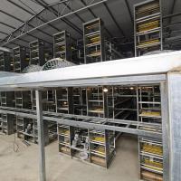China 4 Layer 2mm Battery Cage Poultry Egg Collection System with ISO9001 Certification for H Type Laying Hens for sale