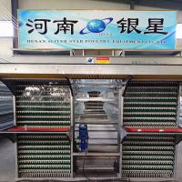 China Commercial 5000pcs/Hour Zn-Al Steel Poultry Egg Collection System with 100mm PP Conveyor Belt for sale