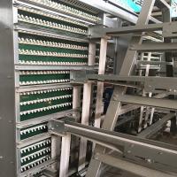 China Commercial 5000pcs/Hour Zn-Al Steel Poultry Egg Collection System with 100mm PP Conveyor Belt for sale