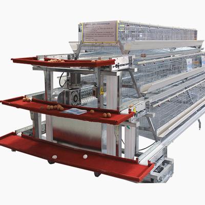 China 10cm Automatic Poultry Egg Collection System with 4m/min Speed and 100mm PP Conveyor Belt for Layer Cages for sale