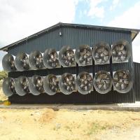 China 46000m³/H Industrial Ventilation Fan 1270mm for Poultry Farm Environmental Control System 380V for sale