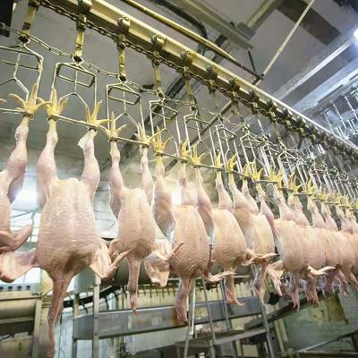 China 300-12000 Birds/Hour CE Certified Chicken Slaughtering Line for Poultry Farming Equipment for sale