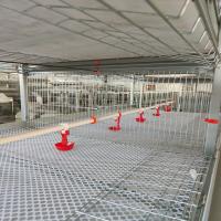 China H Type Broiler Chicken Cage System - 3-8 Tier Configurations with 450cm² Bird Space & Automated Feeding for sale